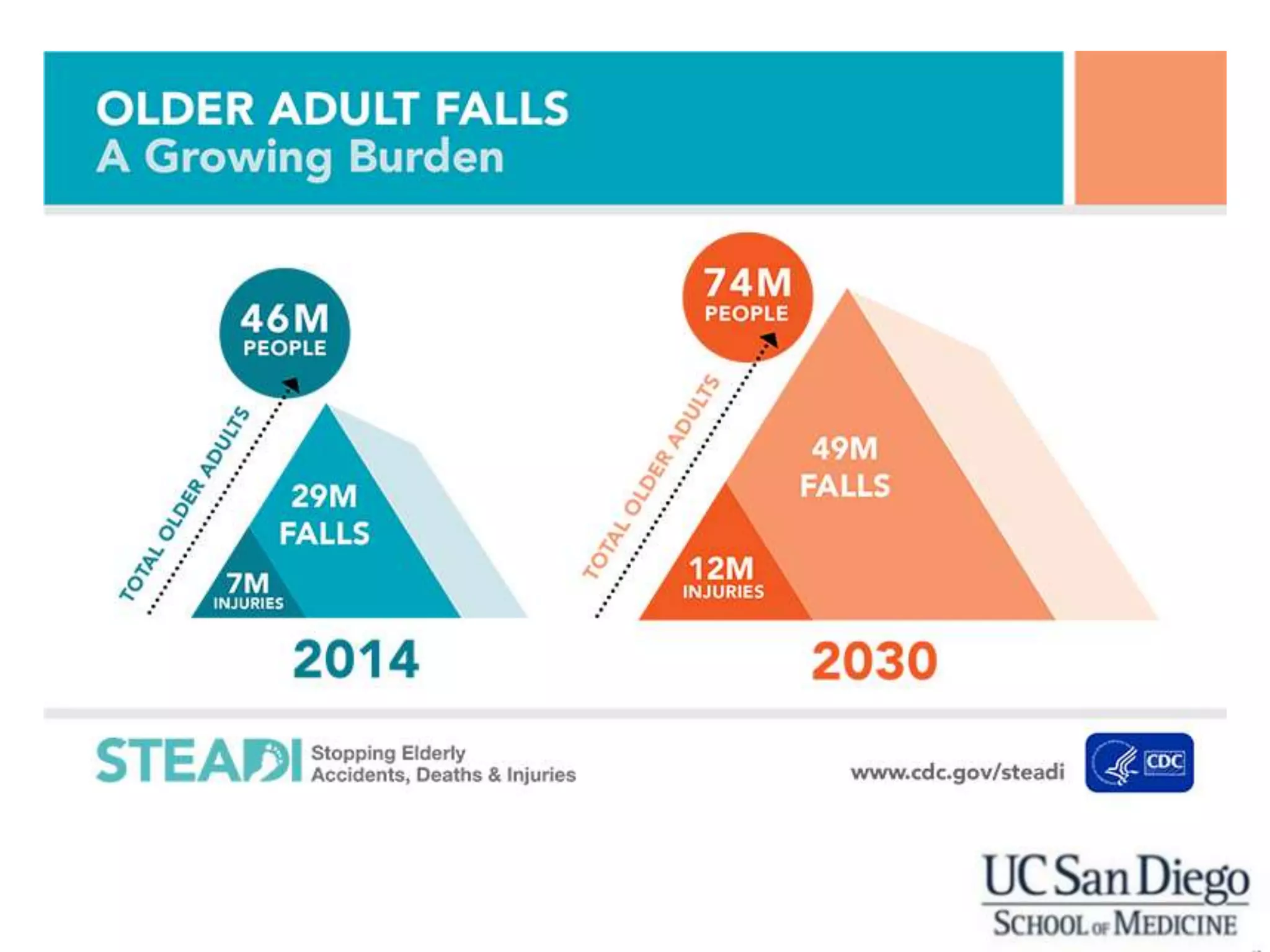 STEADI: Stopping Elderly Accidents, Deaths & Injuries | PPT