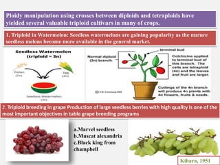 Breeding for seedlessness in horticulture crops.pptx