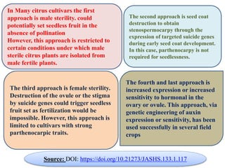 Breeding for seedlessness in horticulture crops.pptx