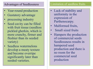 Breeding for seedlessness in horticulture crops.pptx