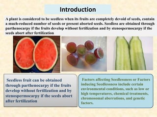 Breeding for seedlessness in horticulture crops.pptx