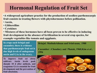 Breeding for seedlessness in horticulture crops.pptx