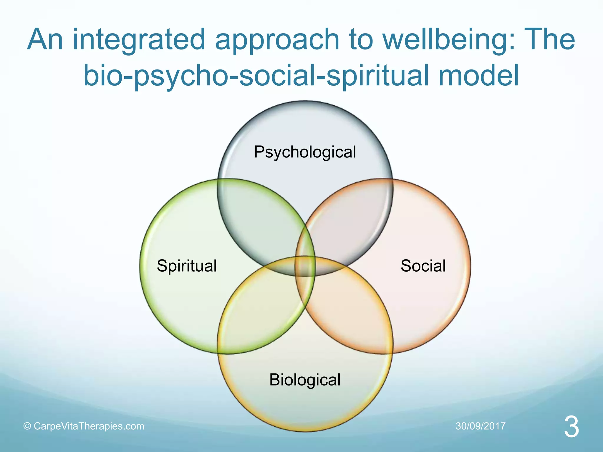 Mindfulness and the bio-psycho-social-spiritual model: An integrated ...