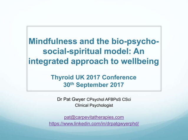 Mindfulness and the bio-psycho-social-spiritual model: An integrated ...