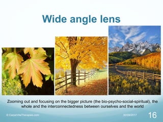 Mindfulness and the bio-psycho-social-spiritual model: An integrated ...