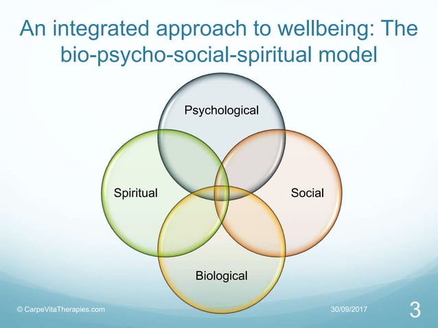 Mindfulness and the bio-psycho-social-spiritual model: An integrated ...
