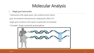 Genotype and environment interaction G x E | PPTX