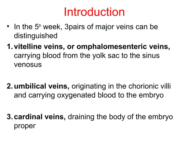 Development of veins | PPT | Heart and Cardiovascular Diseases ...