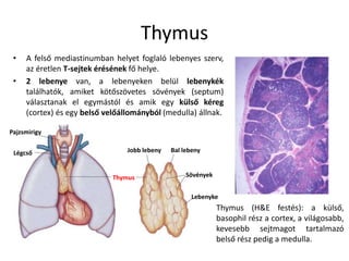 Gyak1 2 2020_hu | PPTX