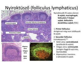 Gyak1 3 2020_hu | PPT