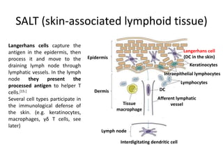 Gyak1 5 2020_en | PPTX