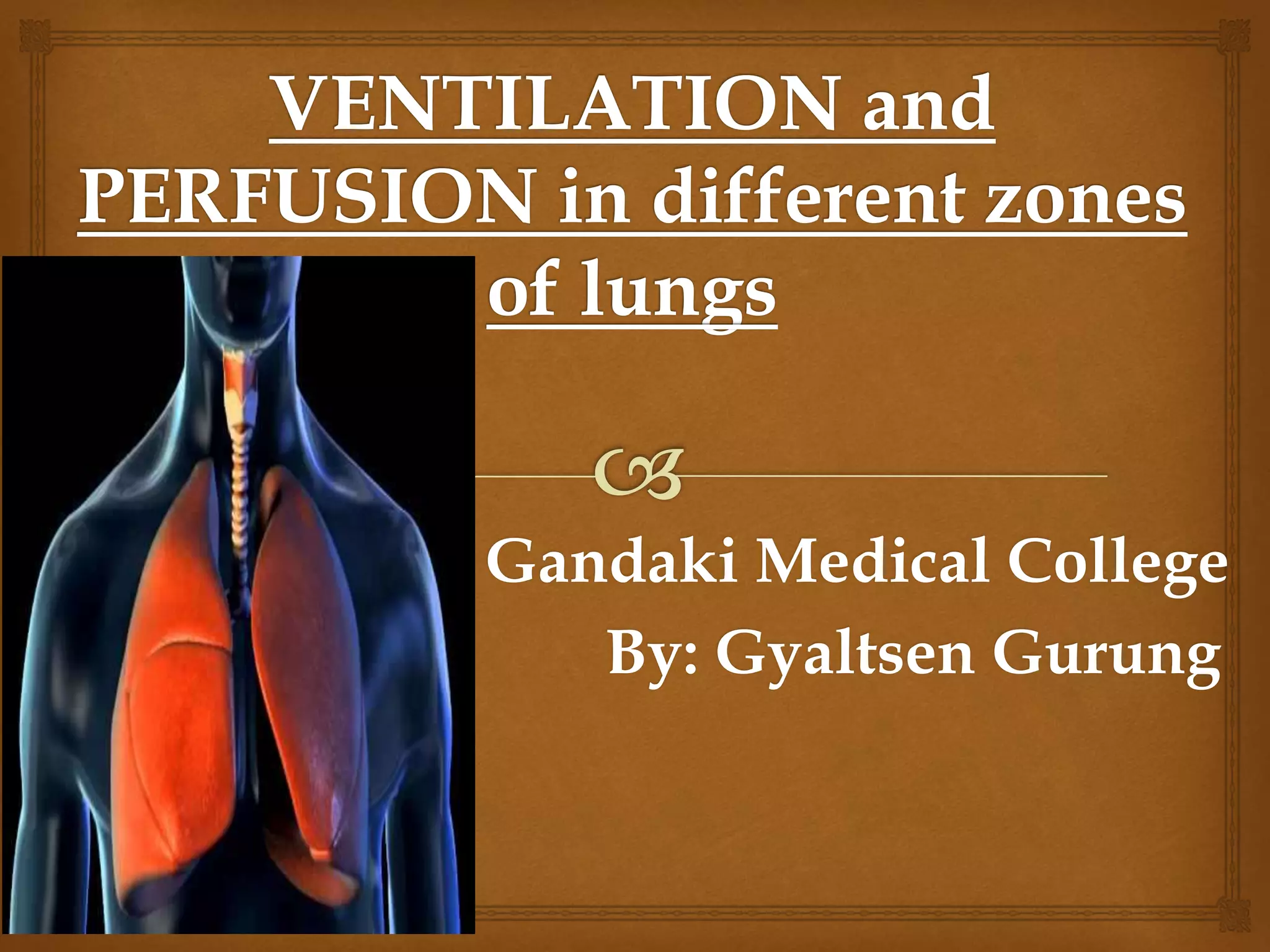 Ventilation and Perfusion in different zones of lungs. | PPTX