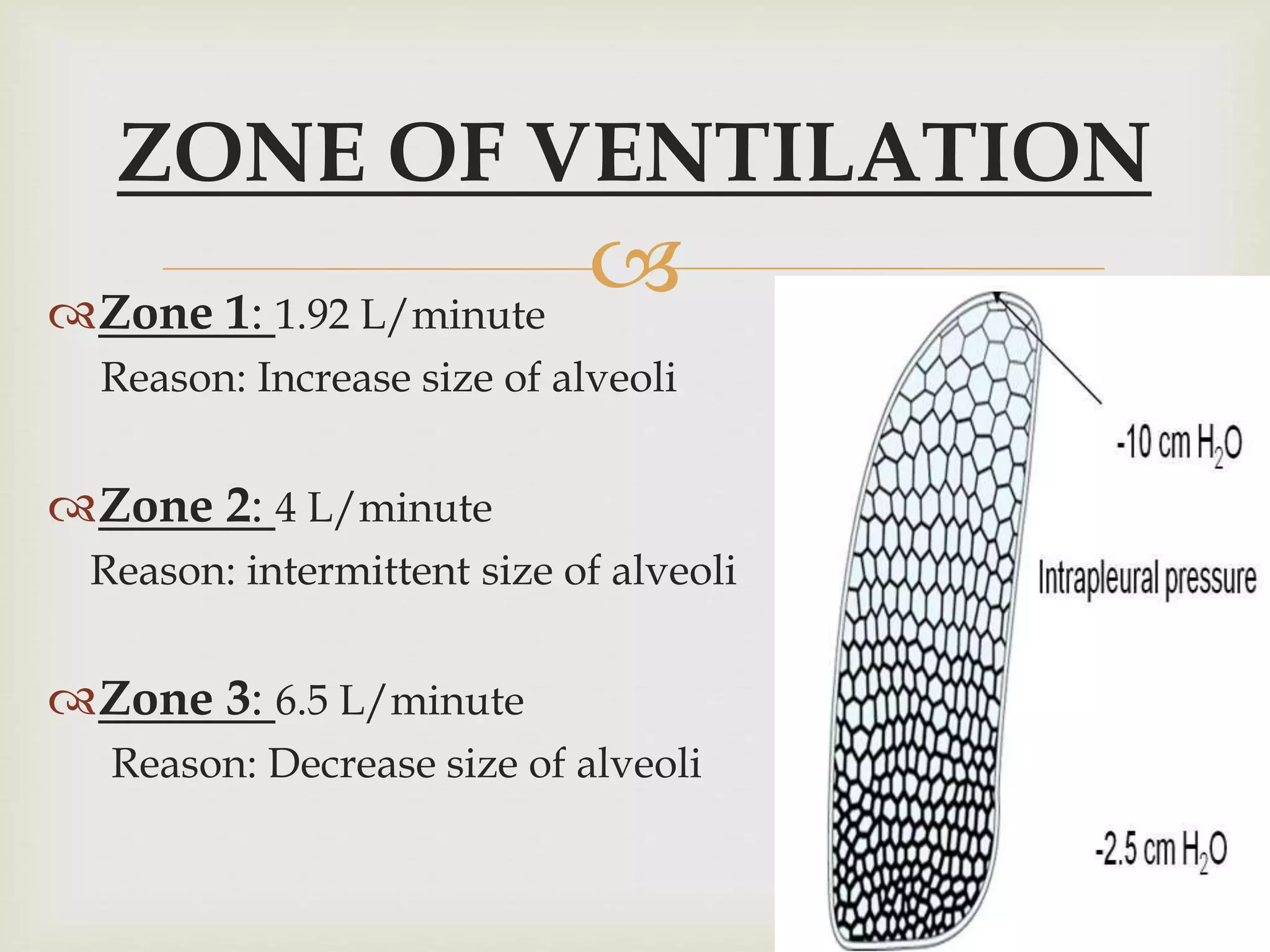 Ventilation and Perfusion in different zones of lungs. | PPTX