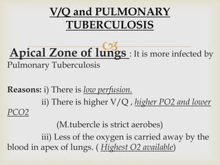 Ventilation and Perfusion in different zones of lungs. | PPTX | Lung ...