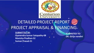 Detailed project report.pptx