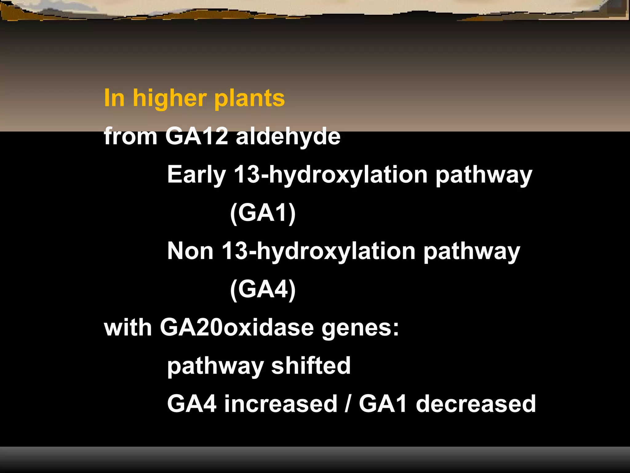 gybbrellin and its role in plant | PPT
