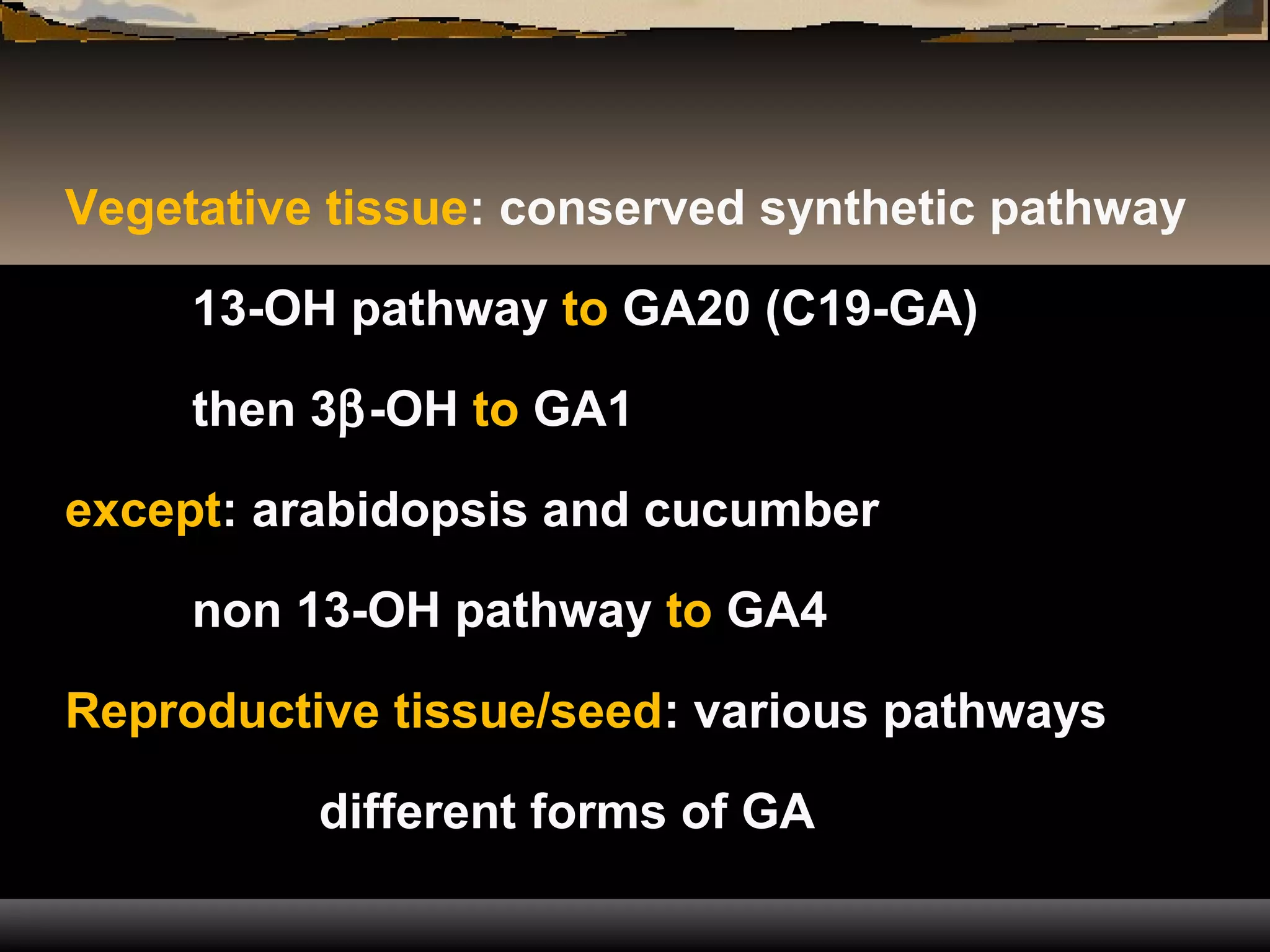 gybbrellin and its role in plant | PPT
