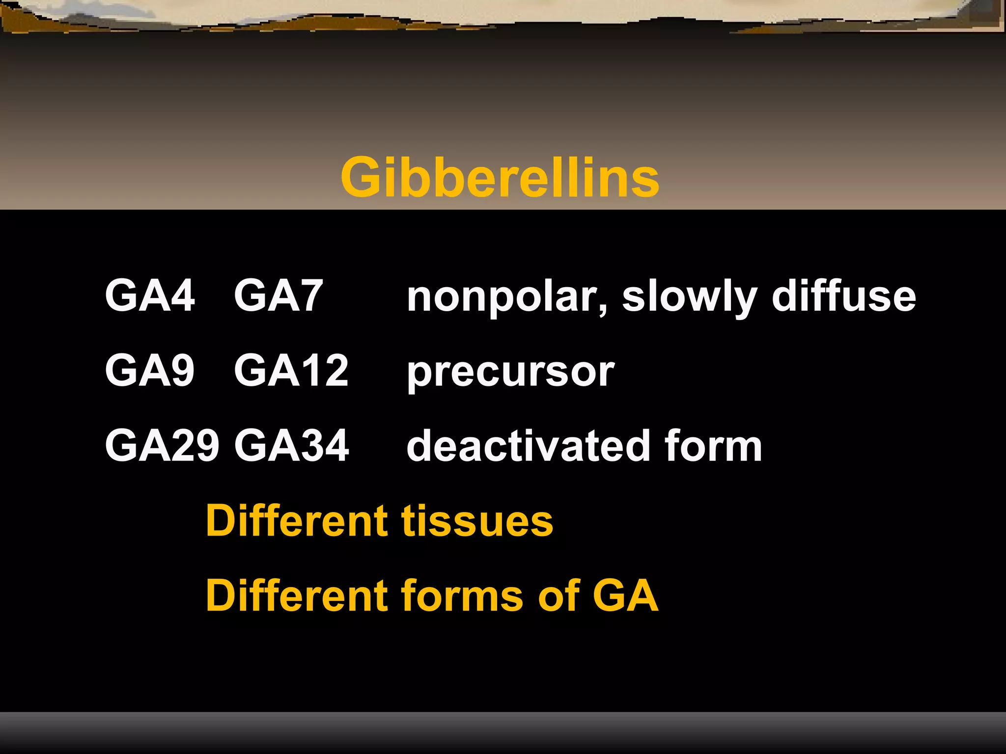 gybbrellin and its role in plant | PPT