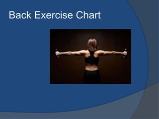 Back Exercise Chart