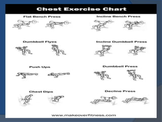 Shoulder Exercises Chart