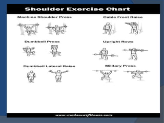 Shoulder Exercise Chart For Men