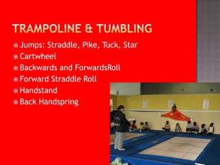 Gymnastics | PPTX | Gymnastics | Sports