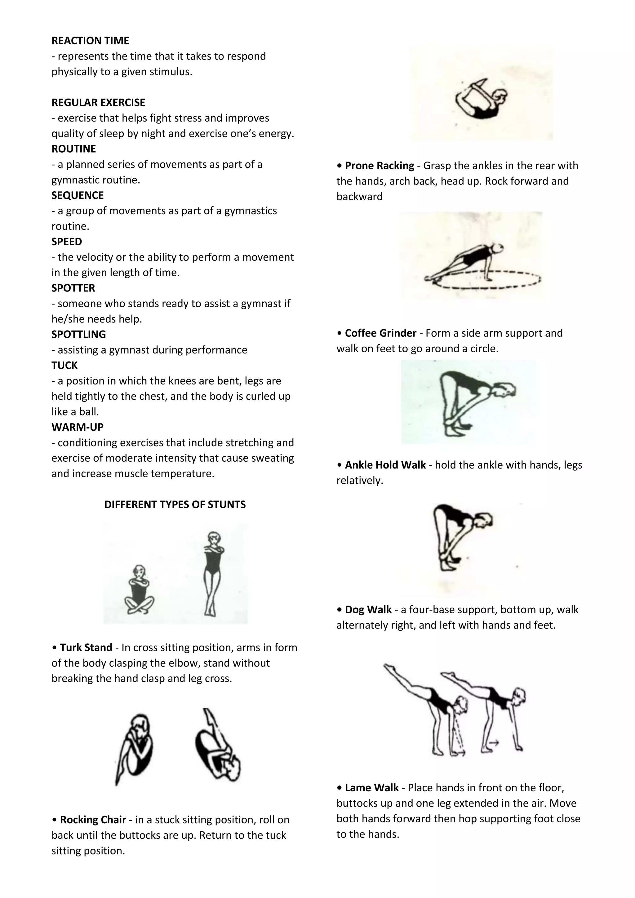 GYMNASTICS Lessons.docx | Participant Sports | Fitness and Exercise