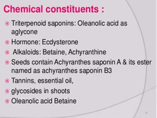 Gymnema and Apamarg (Pharmacognosy) | PPTX