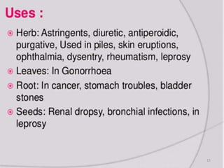 Gymnema and Apamarg (Pharmacognosy) | PPTX