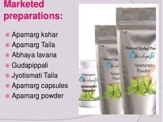 Gymnema and Apamarg (Pharmacognosy) | PPTX