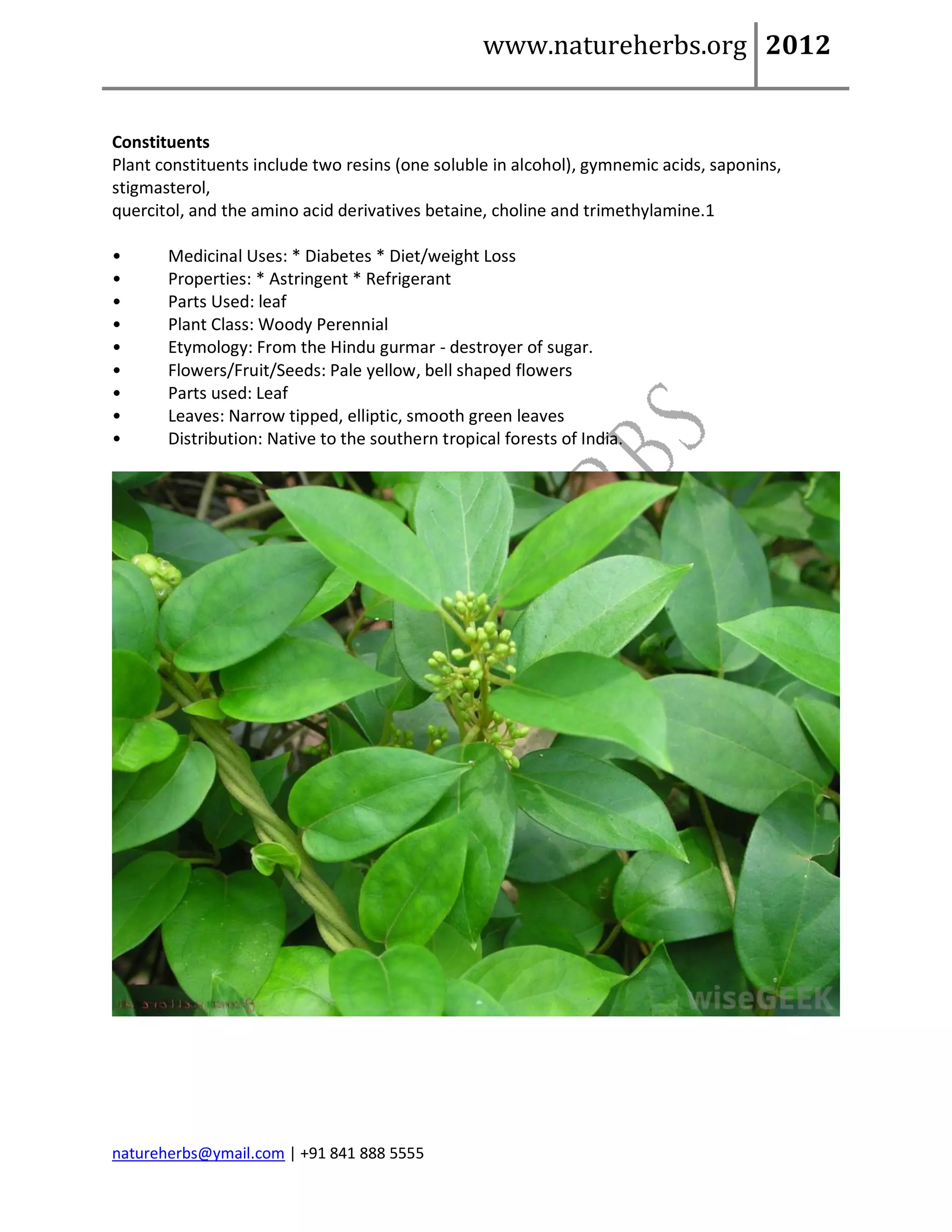Gymnema sylvestre | PDF