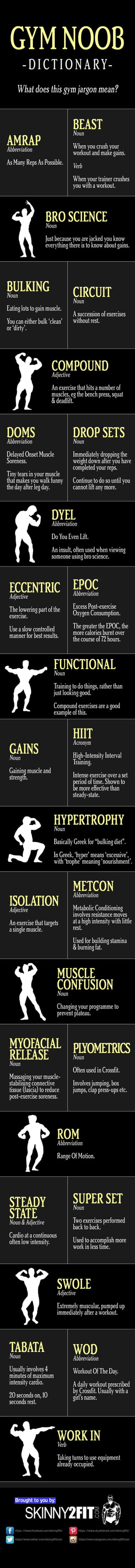 Gym noob dictionary | PDF