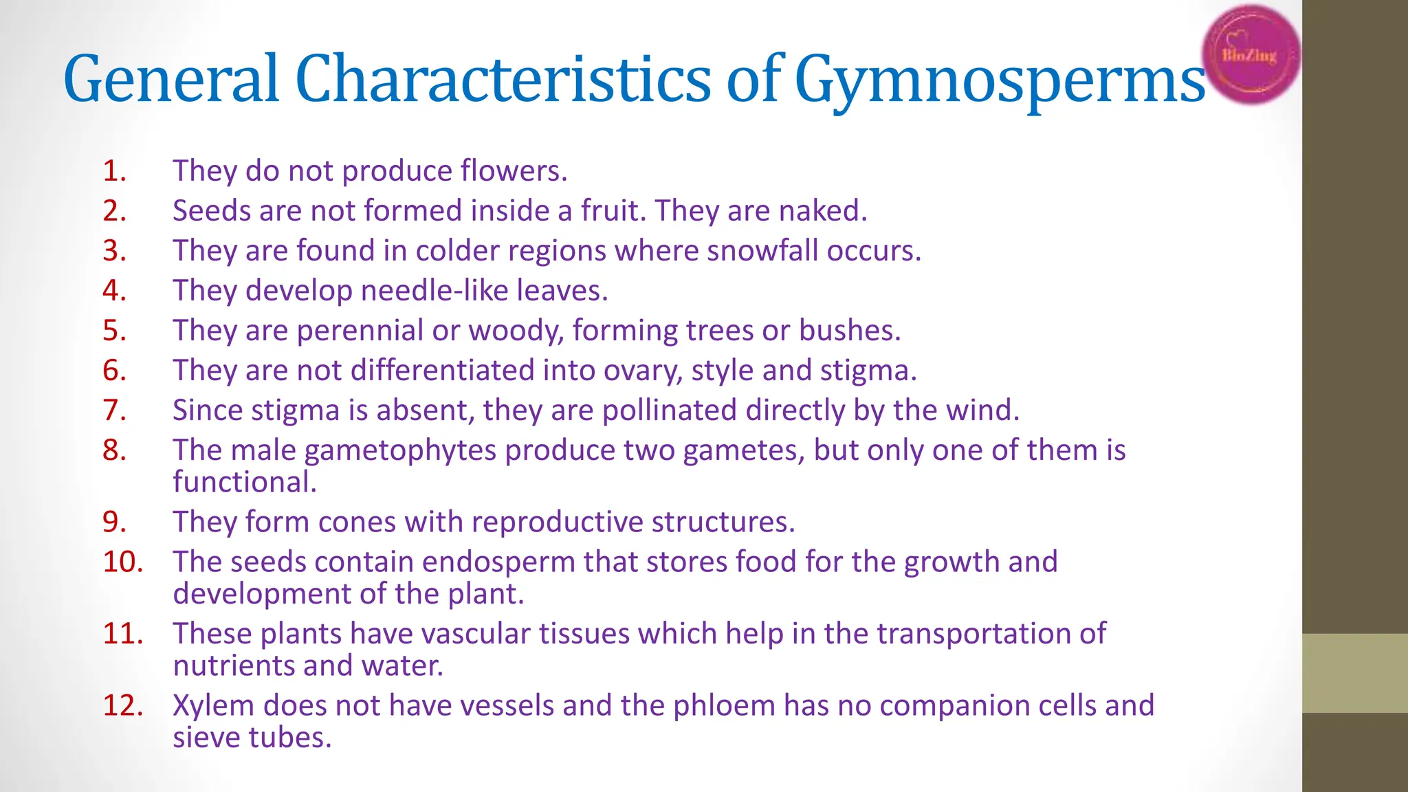 Gymnosperm.pptxlkjhgfdssdfghjklltredfvbnmnj | PPTX