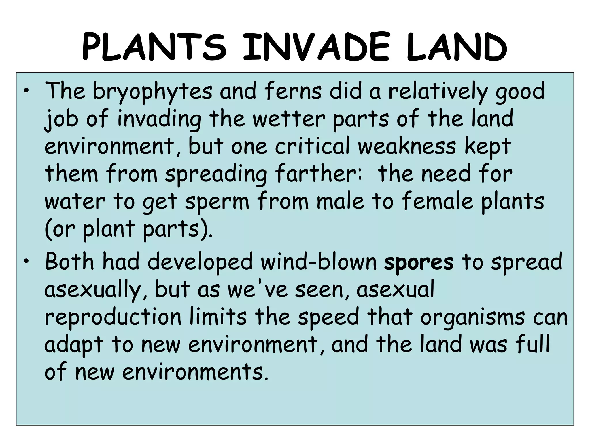 Gymnosperm notes | PPT