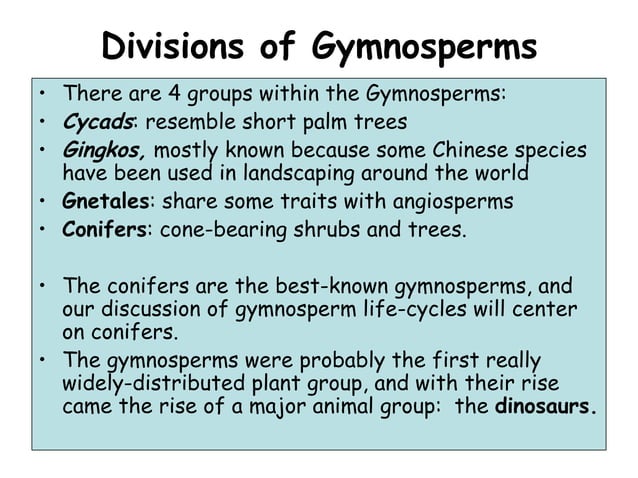 Gymnosperm notes | PPT