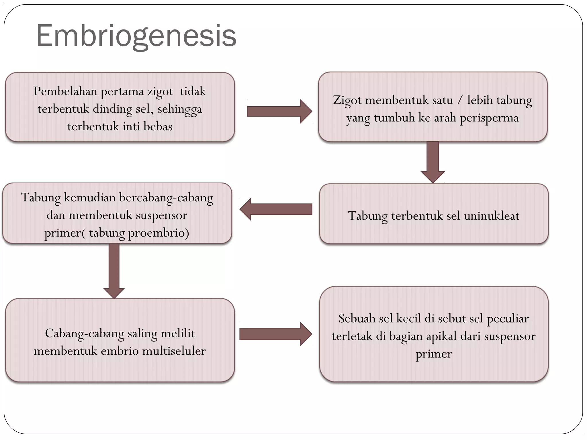 Gymnospermae - Anatomy | PPT