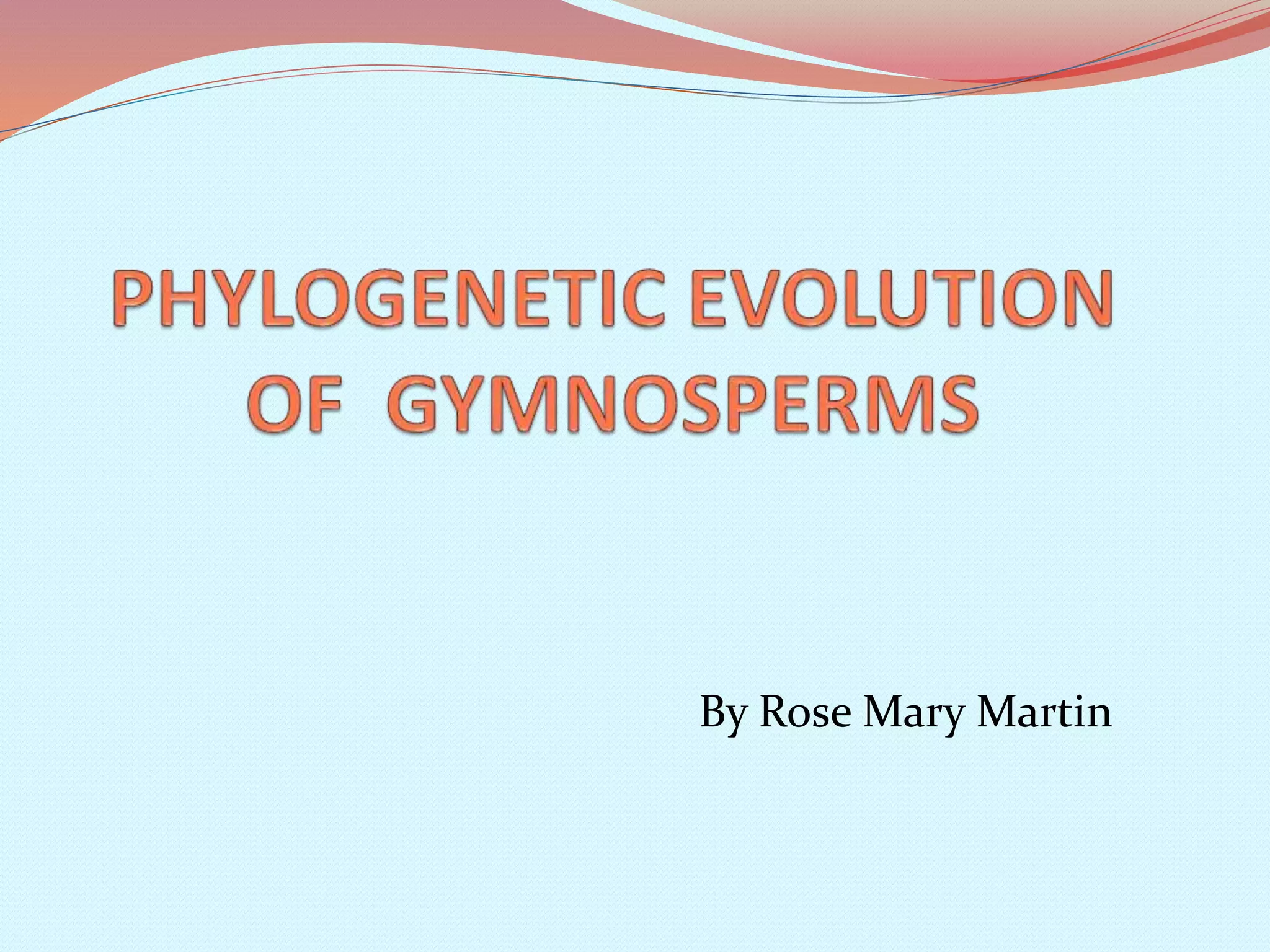 phylogenetic evolution of gymnosperms | PPTX