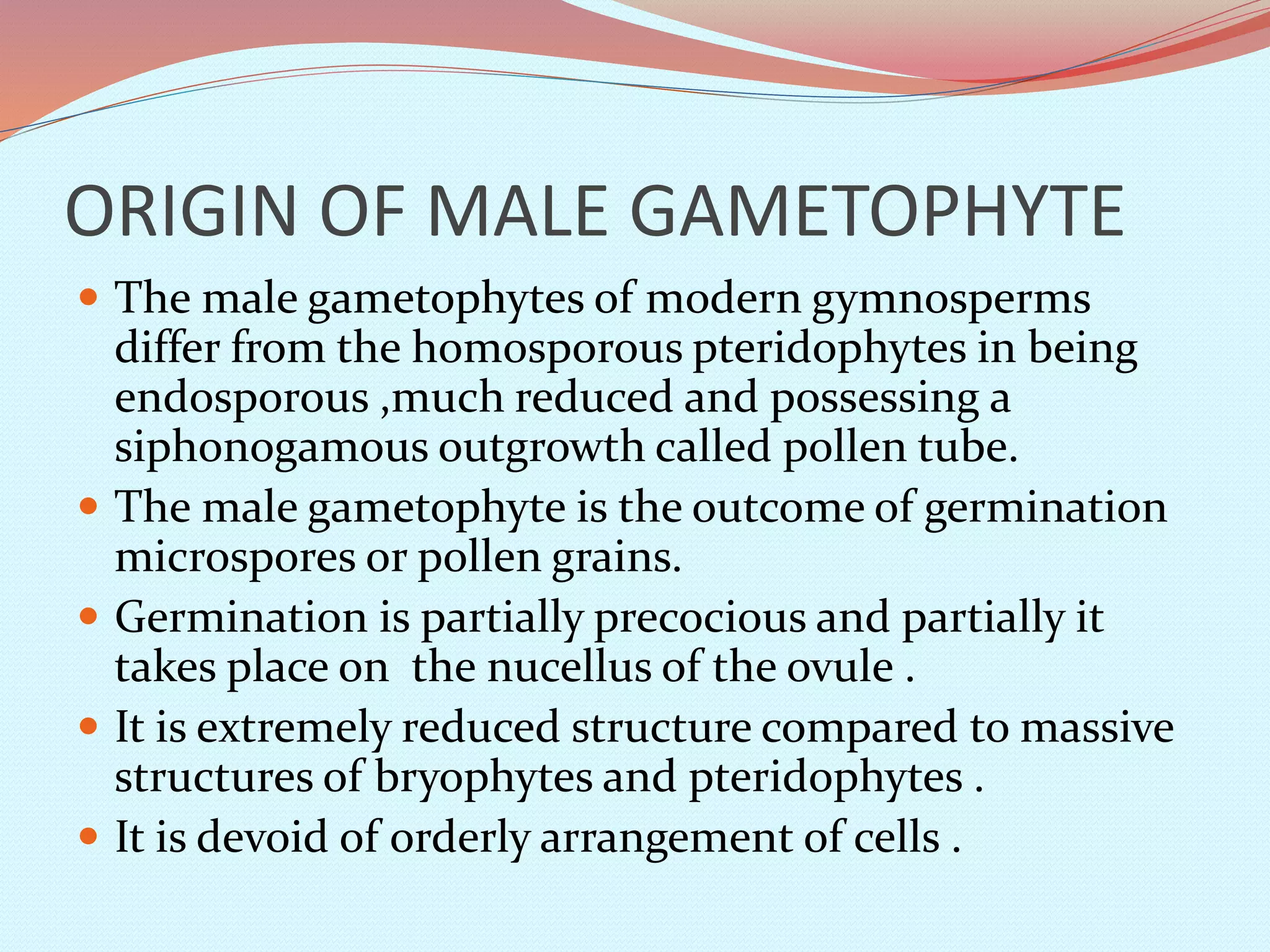 phylogenetic evolution of gymnosperms | PPTX
