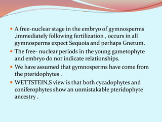 phylogenetic evolution of gymnosperms | PPTX