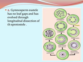 phylogenetic evolution of gymnosperms | PPTX