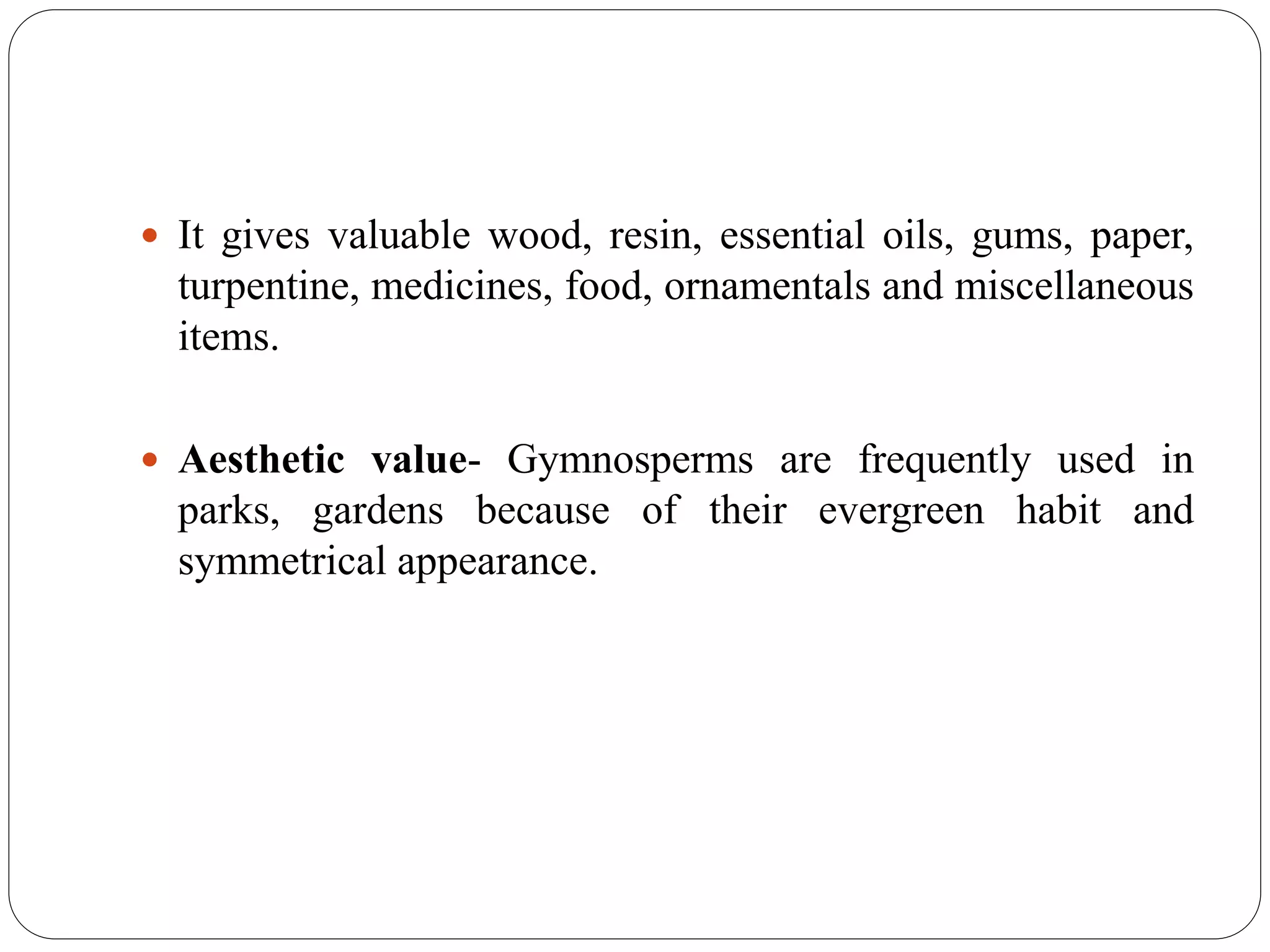 Gymnosperms - General characteristics and Economic importance.pptx