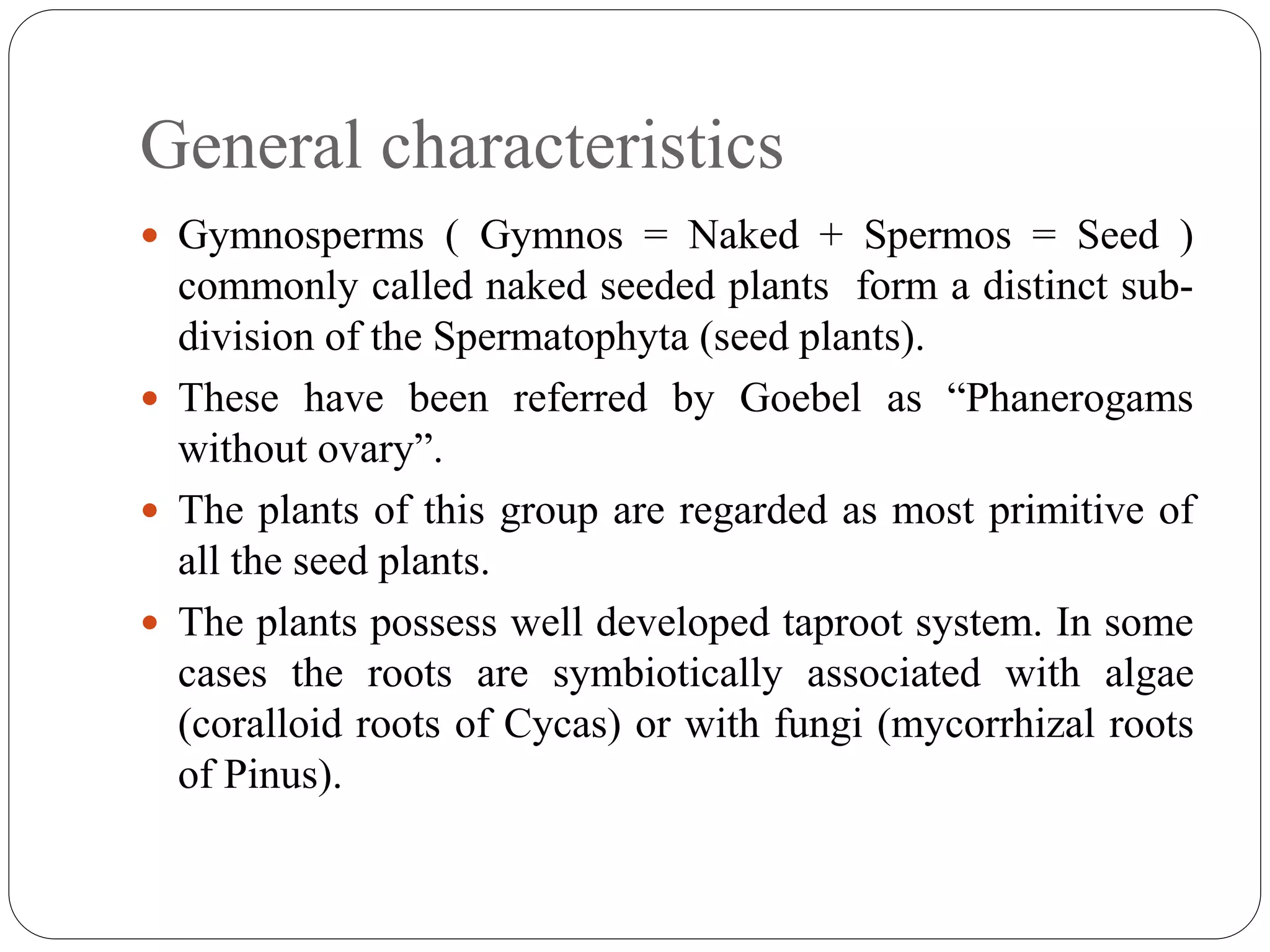 Gymnosperms - General characteristics and Economic importance.pptx