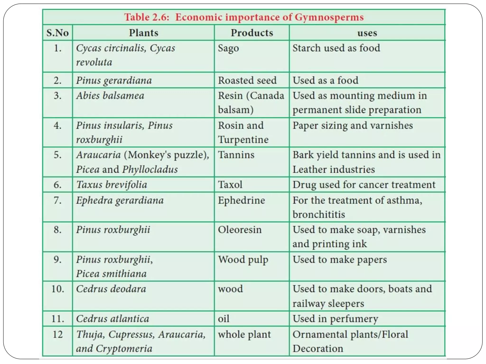 Gymnosperms - General characteristics and Economic importance.pptx
