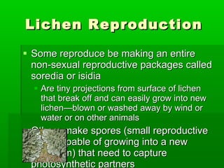 Gymno vs angio | PPS