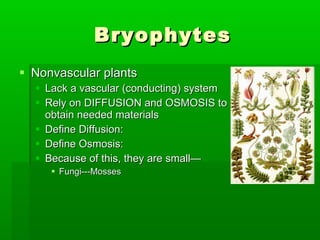 Gymno vs angio | PPS