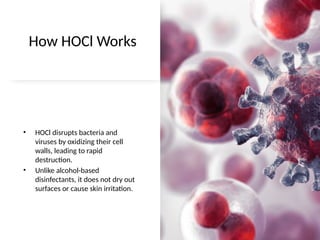 Advanced HOCl-Based Gyms Disinfectant for Complete Hygiene & Safety | PPTX