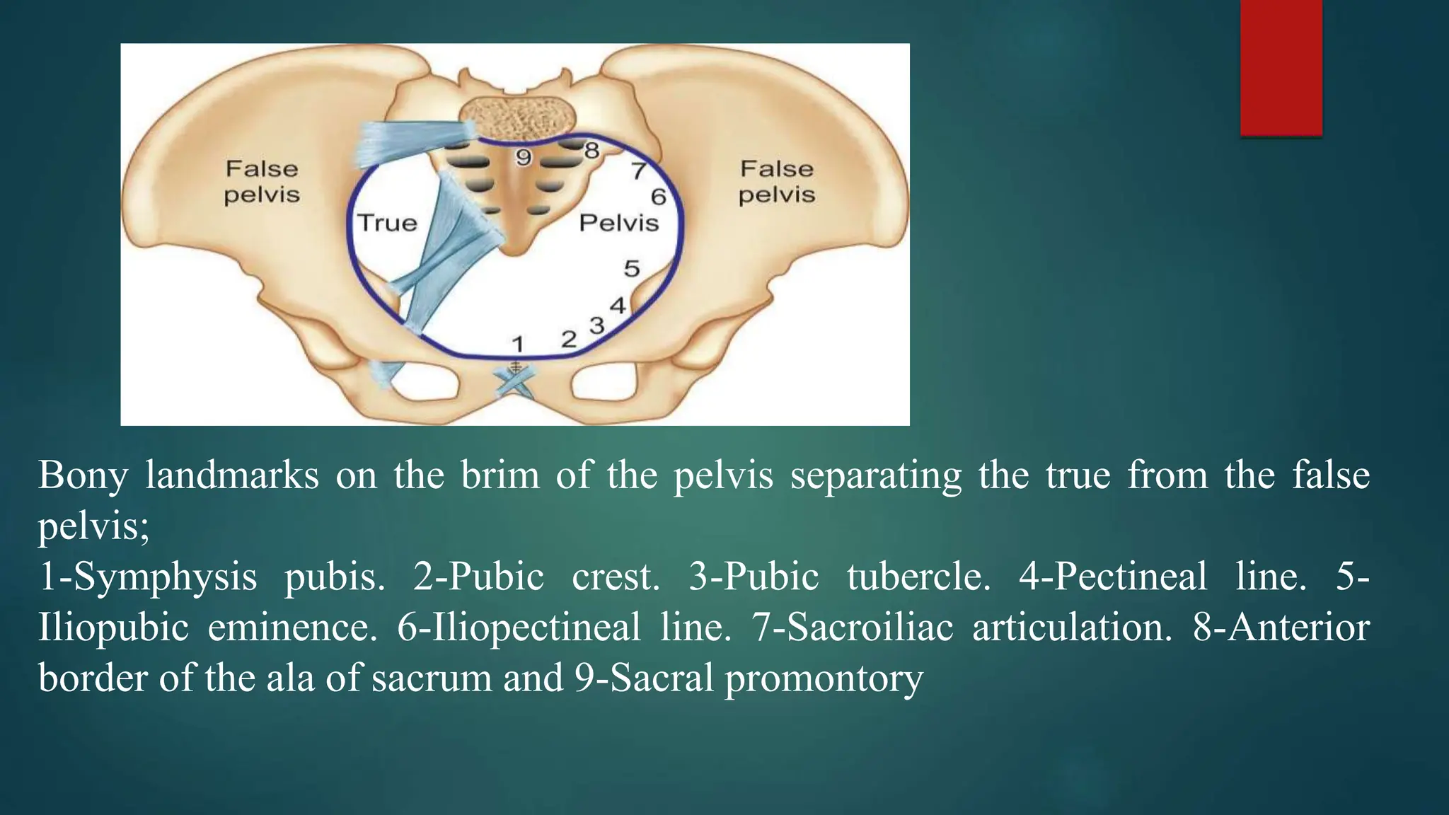 Mechanism of normal labour. Types of female pelvis.pptx