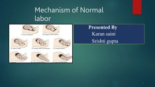 Mechanism of normal labour. Types of female pelvis.pptx
