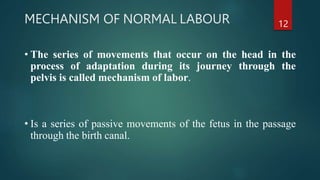 Mechanism of normal labour. Types of female pelvis.pptx