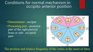 Mechanism of normal labour. Types of female pelvis.pptx
